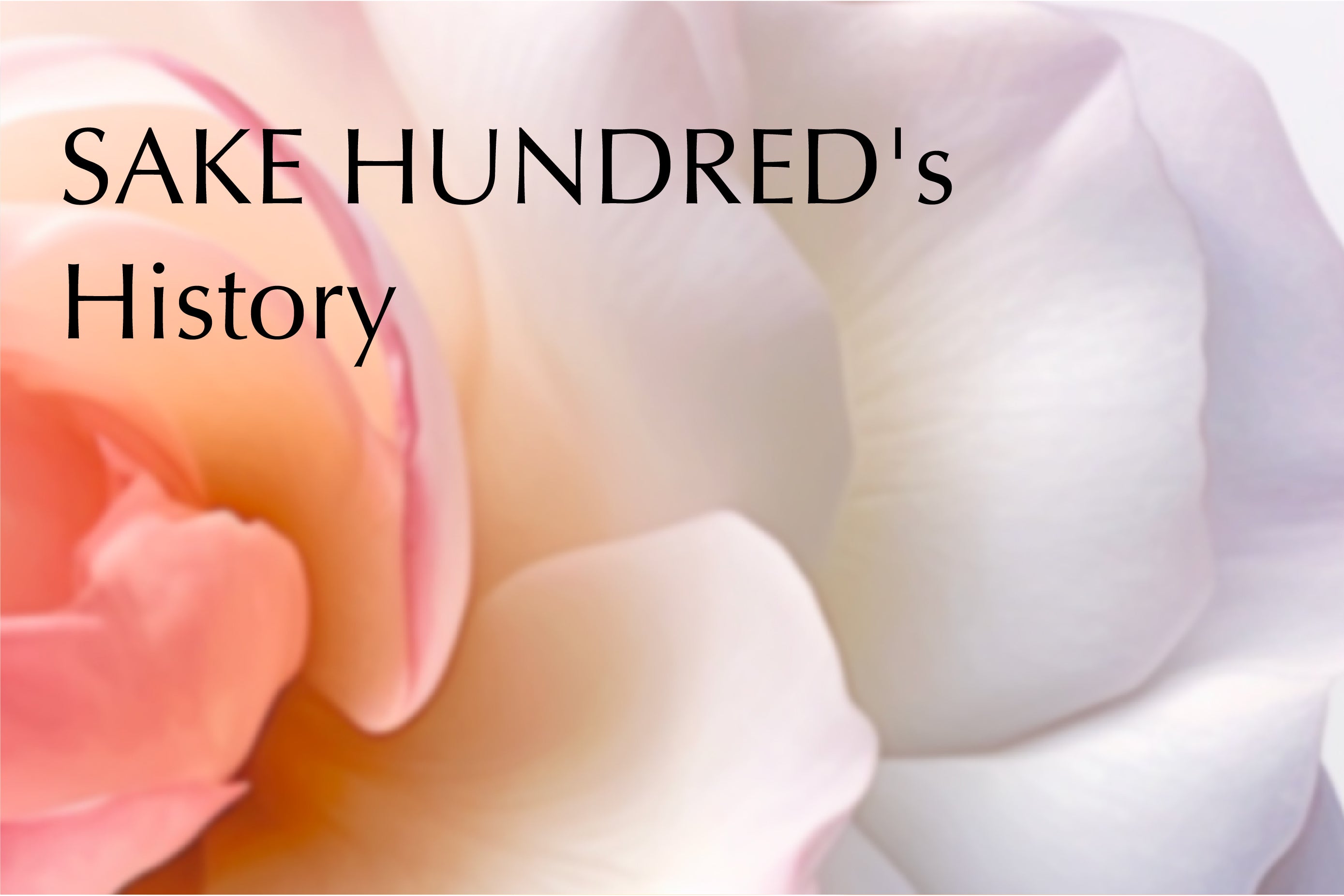 SAKE HUNDRED's History
